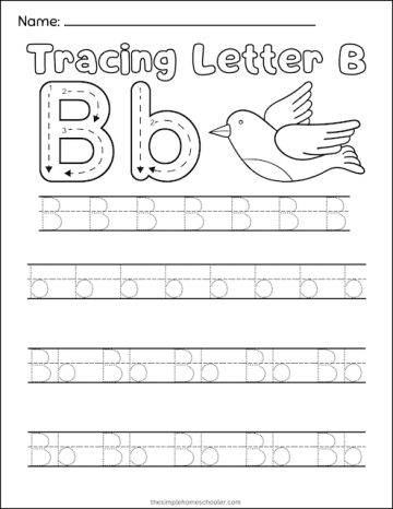 Free Letter B Tracing Worksheets: Easy Print! - The Simple Homeschooler