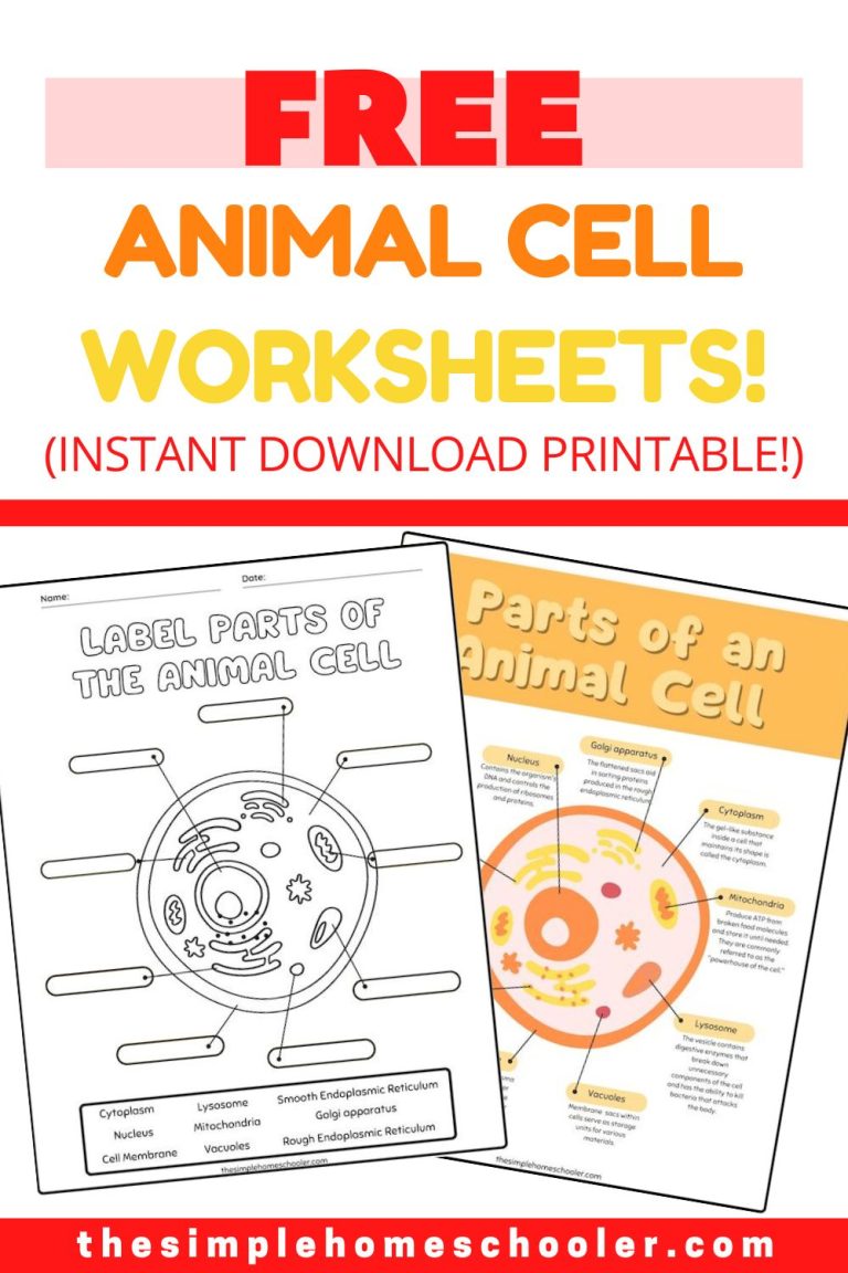 Best Free Animal Cell Worksheets: With Answers & Easy Print! - The ...