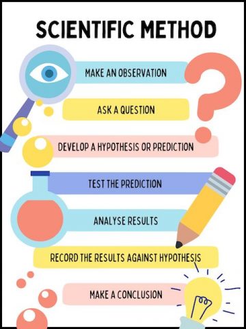 Scientific Method Worksheets: Free and For All Ages! - The Simple ...