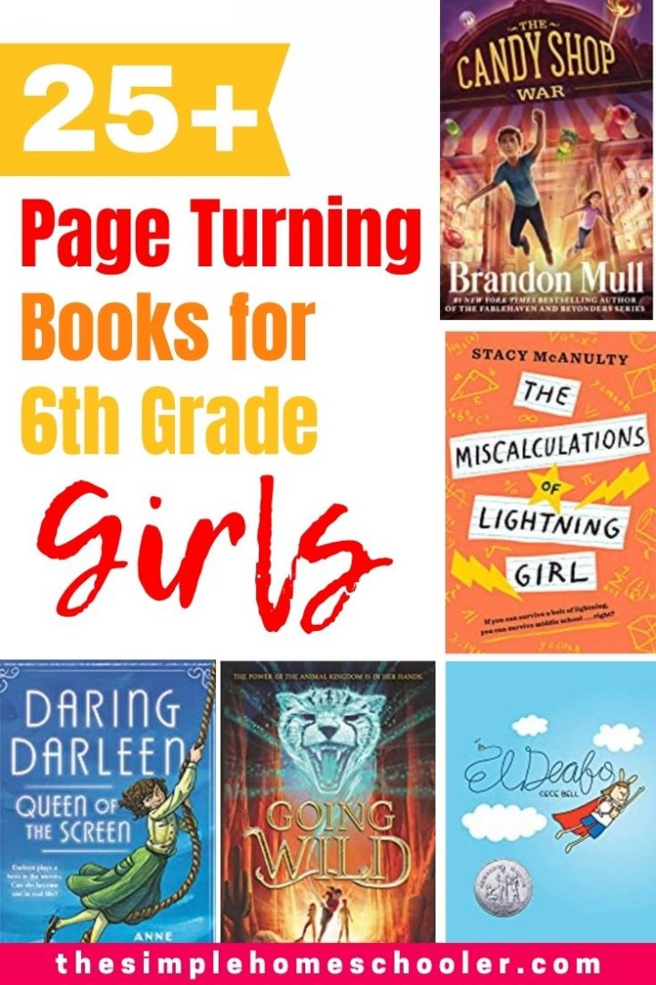 17 Clean Chapter Book Series for Girls! - The Simple Homeschooler