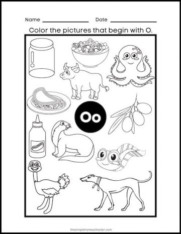 15+ Letter O Printables: Free & Easy Print! - The Simple Homeschooler