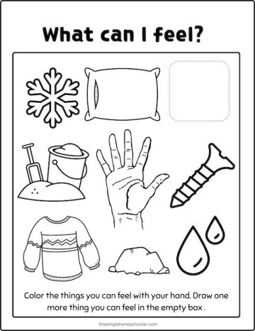 Best 5 Senses Coloring Pages: Free & Easy Print! - The Simple Homeschooler