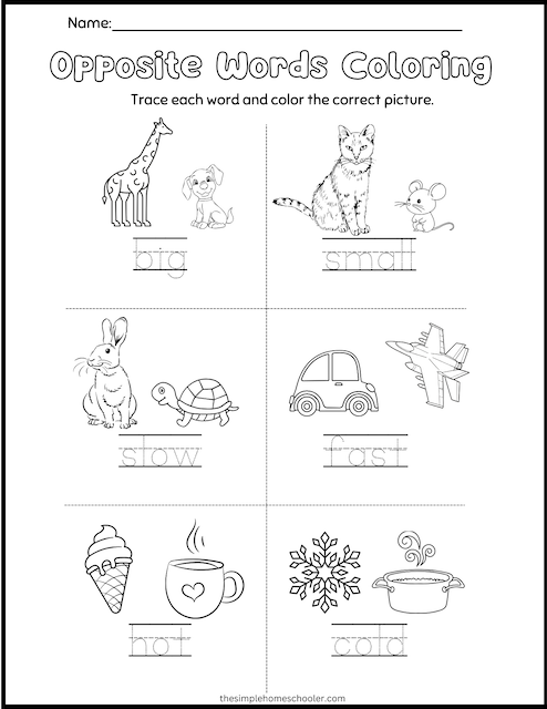 Opposites Worksheet Adjectives Opposite Worksheets Coloring Worksheeto ...