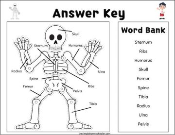 Free & Fun Assemble A Skeleton Printables: Easy Print! - The Simple ...