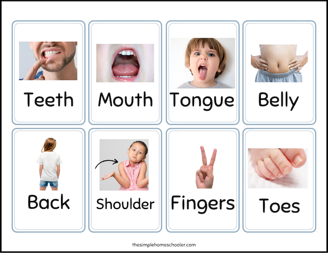 Free Printable Body Parts Flashcards For Kids! - The Simple Homeschooler