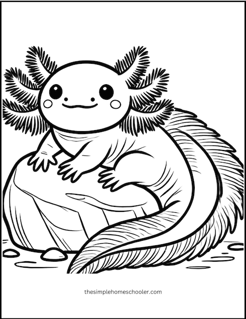 Free Cute Axolotl Coloring Pages: Download PDF Today! - The Simple ...